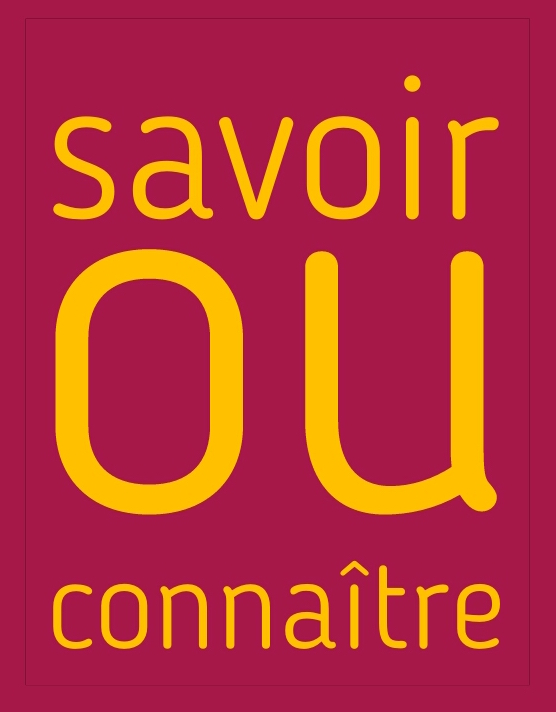 Savoir ou connaitre ? – Regard sur le français