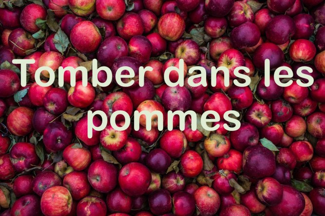 Expression : tomber dans les pommes – Regard sur le français