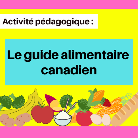 Activité pédagogique : Le guide alimentaire canadien – Regard sur le ...