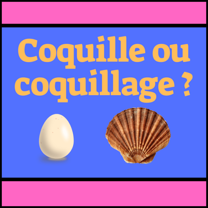 Coquille ou coquillage ? – Regard sur le français
