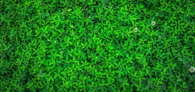 Vocabulaire : Les couleurs en français – Regard sur le français